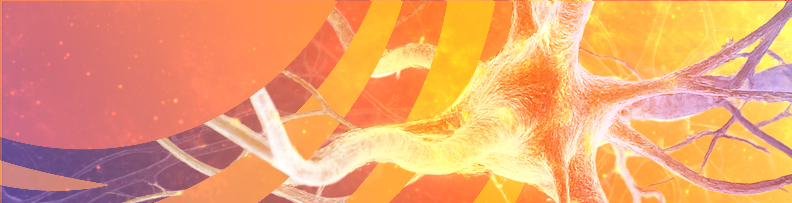 ACTRIMS 2026 - VJNeurology